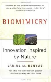 Biomimicry: Janine M. Benyus: 0352785323264: Amazon.com: Books