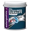 Asian Paint Apex Ultima Protek Duralife Exterior Wall Paint Premium ...