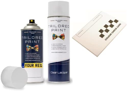 Mixed By Reg Vin Number Aerosol Spray Paint With Wide Fan Spray Nozzle ...