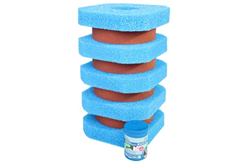 Filtoclear 11000 – Die 15 besten Produkte im Vergleich - Aquaristik