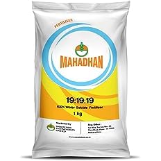 191919 wsf mahadhan 1 kg : Amazon.in: Health & Personal Care