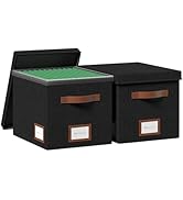 Amazon.com: GRSQYS File Storage Box with Lid File Boxes for Hanging ...