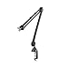 RODE PSA1 Swivel Mount Studio Microphone Boom Arm : Rode: Amazon.ca ...