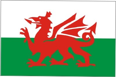 WELSH FLAG STICKER WALES FLAG : Amazon.co.uk: Garden
