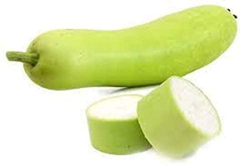 AYWAL Organic Bottle Gourd Long Lauki Vegetable Seeds (Pack Of 20 Seeds ...