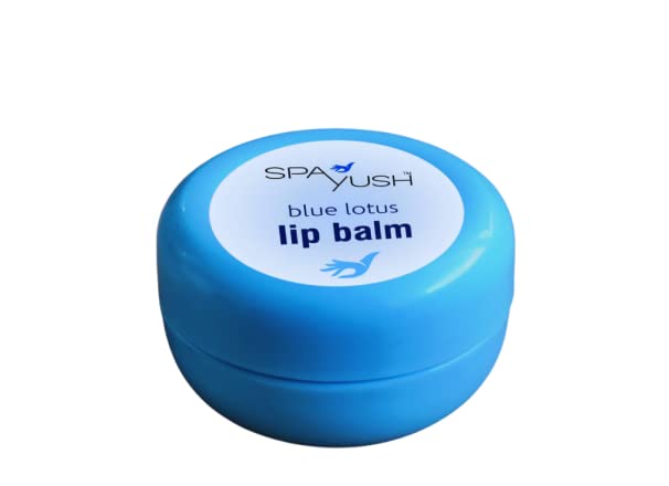Buy SPAYUSH blue Lip balm, 30gm Online at Low Prices in India - Amazon.in