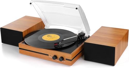 Amazon.com: Qlearsoul SoulBox S1 Vinyl Record Player with Stereo ...