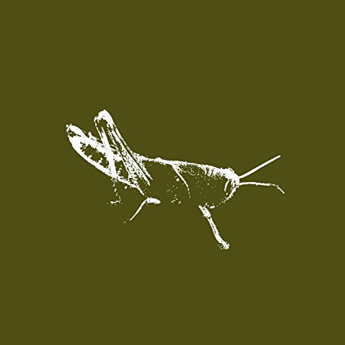 Amazon.com: The Storrow Band : Martin Storrow: Digital Music