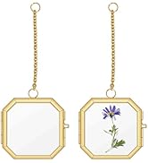 Amazon.com - NSdawali 4Pcs Double Glass Frame for Pressed Flowers, 2x3 ...