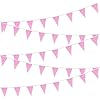 Amazon.com: Solid Pink Pennant Banner Flags Pink Blank String Hanging ...
