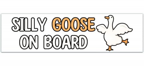 Amazon.com: Silly Goose On Board | Cute Funny Gen Z Meme Sticker ...