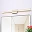 BRIVOLART LED Brushed Nickel Vanity Light for Bathroom Lighting ...