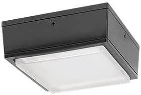 Amazon.com: RAB Lighting 65W VANLED Cool LED Drop Lens Bronze Canopy ...