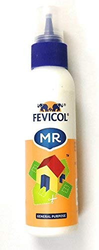 Fevicol MR Squeeze Bottle 100 grams (pack 5) : Amazon.in: Home & Kitchen