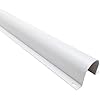 Amazon.com: Electriduct 3/4" Plastic Flanged Wire Guard Cable Raceway ...