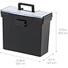 Amazon.com: IRIS USA File Box Slim with Lid File Organizer for Letter ...