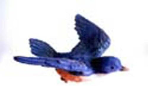 Amazon.com: Clark Collection CC52005 Blue Bird Window Magnet : Home ...