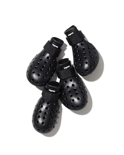 Dog Crocs – The 15 best products compared - Wild Explained