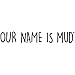 Our Name is Mud 4026110 Our Name Is Mud Cat Hair Mug, 16 Ounces ...