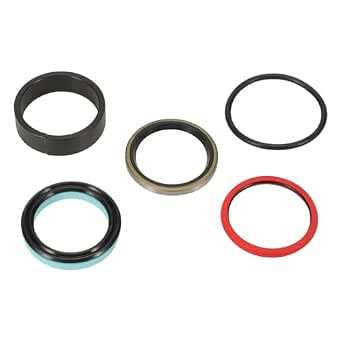 Amazon.com: Lifting Cylinder Hydraulic Seal Kit Compatible with F-ord ...