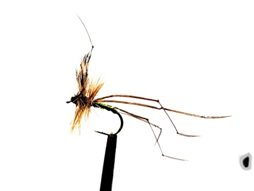 Amazon.com: Dry Fly " Daddy Long Legs Green " Set of 3 (hook size 14 ...