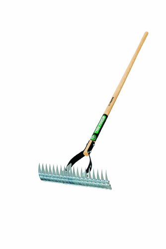10 Best Lawn Dethatcher Rakes