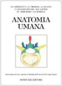 Anatomia Umana : Amazon.co.uk: Books