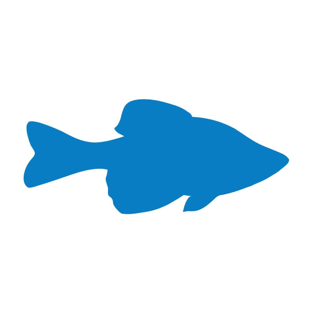 Blue Crappie