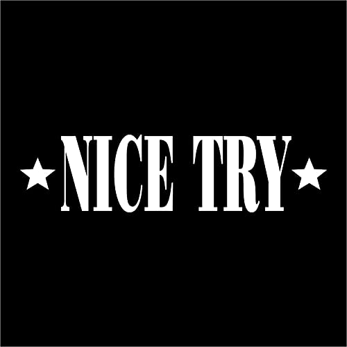 Amazon.co.jp: Nice Try : Nice Try: デジタルミュージック