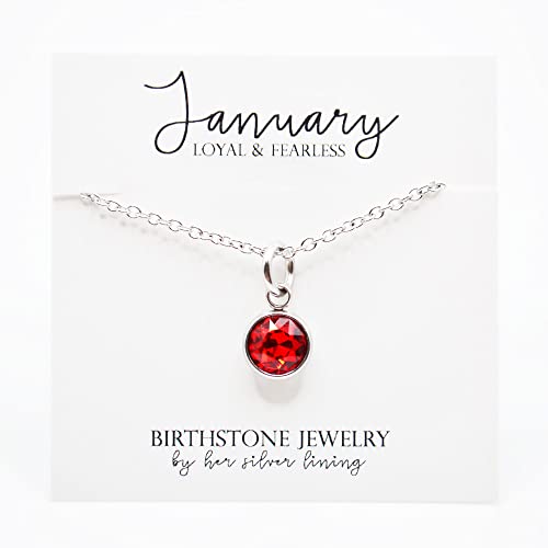 Amazon.com: Garnet Birthstone Necklace, January Birthstone Stainless ...