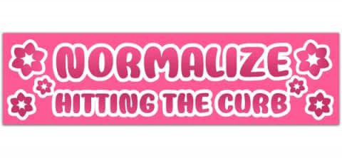 Amazon.com: Normalize Hitting The Curb Decal/Funny Bumper Sticker/Funny ...