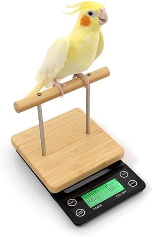 Amazon.com : NEOUZA Perch-Mounted Pet Bird Scale, Parrot Weight Scale ...