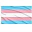Amazon.com : AhfuLife Transgender Flag - 3x5 Ft Trans Pride Flag for ...