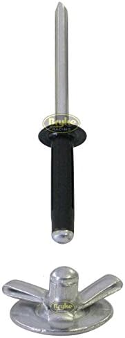 Amazon.com: Exploding Small Head Black Rivets Pop Rivet 250ct 3/16 ...