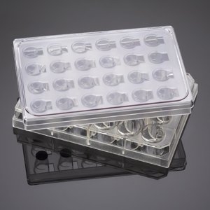 CORNBIO - Corning FluoroBlok HTS 24 Mwell Insert System w/ 8.0 µm Pore ...