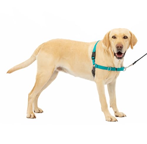 10 of the Most Effortless Walking Aids- Your Ultimate Buying Guide for ...