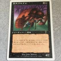 Amazon.co.jp: (174) Trendy Card Giant Cockroach Gymnastics : Toys & Games