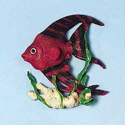 Amazon.com: Swibco Angel Fish Magnet: Home Decor Accents: Home & Kitchen