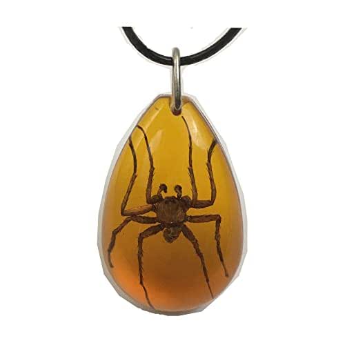 Amazon.com: Real Spider Necklace Insect in Resin Pendant : Handmade ...