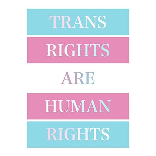 Amazon.com: Trans Rights Are Human Rights Transgender Poster Trans ...