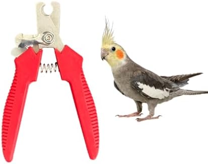 Amazon.com : Uni Infinity Bird Nail Trimmer, Nail Clippers Parakeet for ...