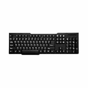 Amazon.in: Buy Wired Keyboard with Rupees Symbol | Hindi Devanagari ...