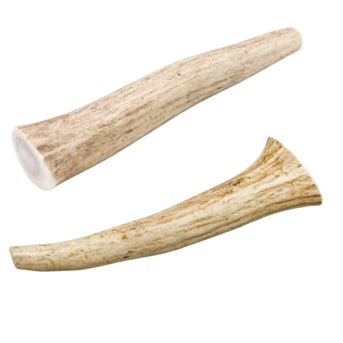 Find The Best Deer Antlers For Dogs Reviews & Comparison - Katynel