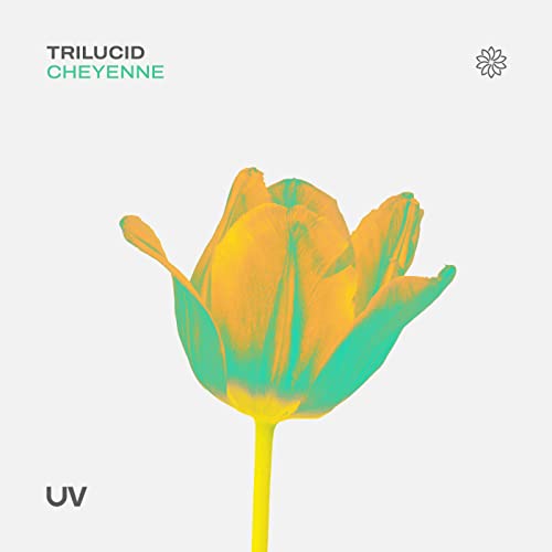 Play Cheyenne by Trilucid on Amazon Music