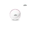 jaspo Synthetic T-20 Plus Practice Cricket Ball/Wind Balls (125-130 Gms ...