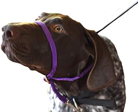 K9 Bridle - to stop your dog pulling (Medium, Blue) : Amazon.co.uk: Pet ...