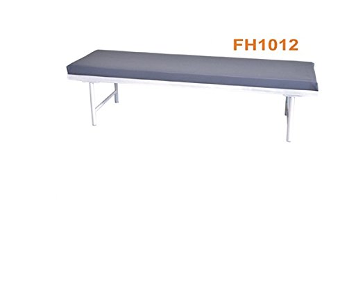 Future Hospicare FH1012 Attendant couch (Deluxe) Fram Work Made of ...