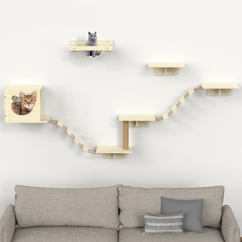 Cat Wall Furniture – The 15 best products compared - Wild Explained