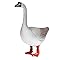 Amazon.com : Toddmomy Goose Statue Plastic Goose Figurine Garden Goose ...