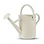 Amazon.com : 1 Gallon Watering Can for Plants, Watering Cans for Indoor ...